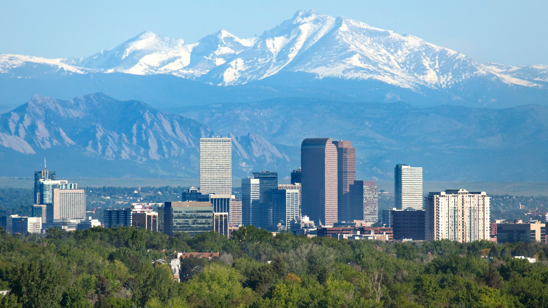 AI in Procurement: Key Takeaways from Consero